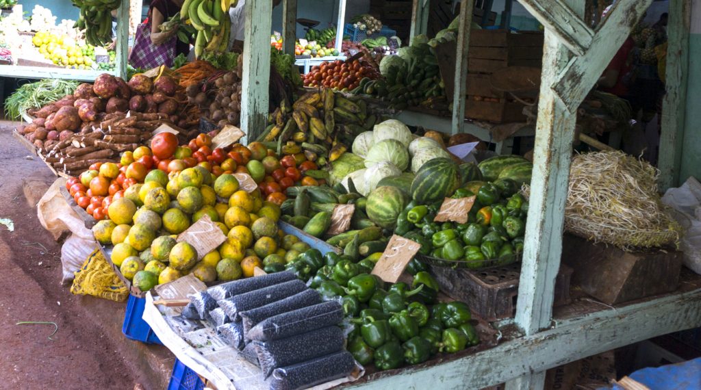 Bring Culture to Your Kitchen Part 3: Cuban - AHAM Consumer Blog