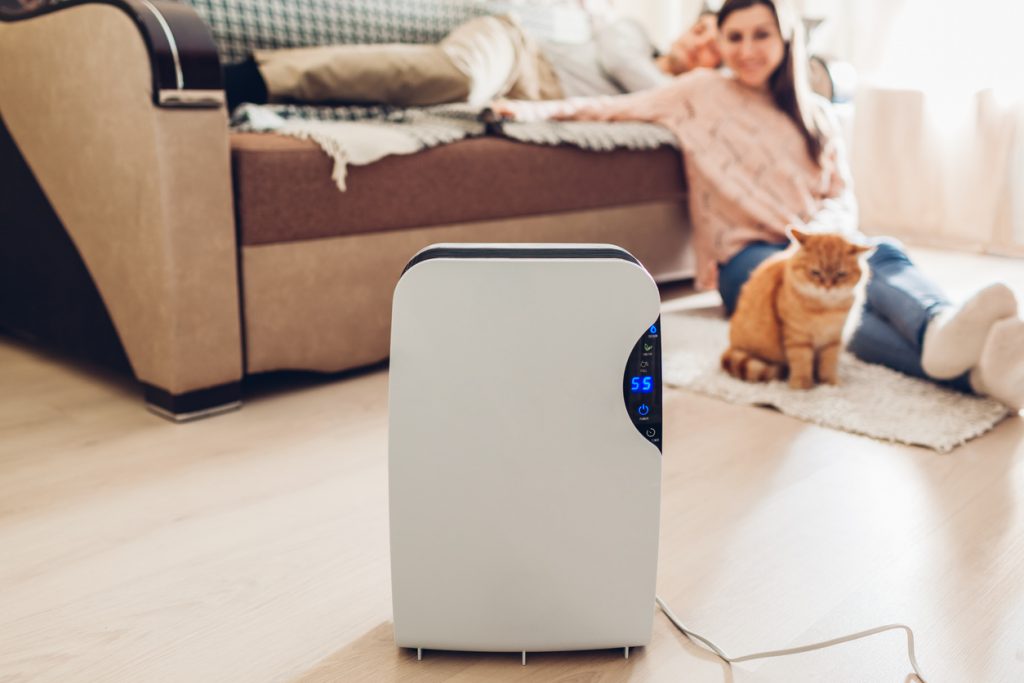 Indoor Air Quality is an Essential Part of a Healthy Home - AHAM ...